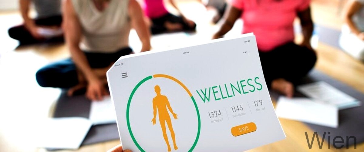 Die 6 besten Wellness-Programme in Wien